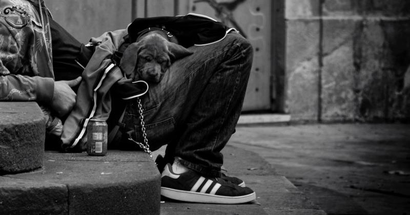 Thugs - This American Life