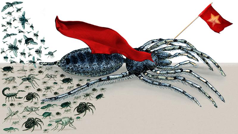 Get a Spine! - This American Life