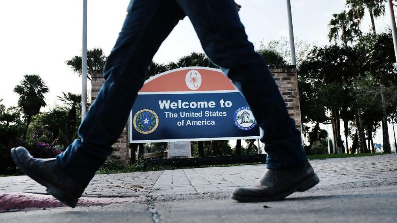 ICE Capades - This American Life