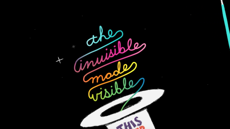 Invisible Made Visible - This American Life